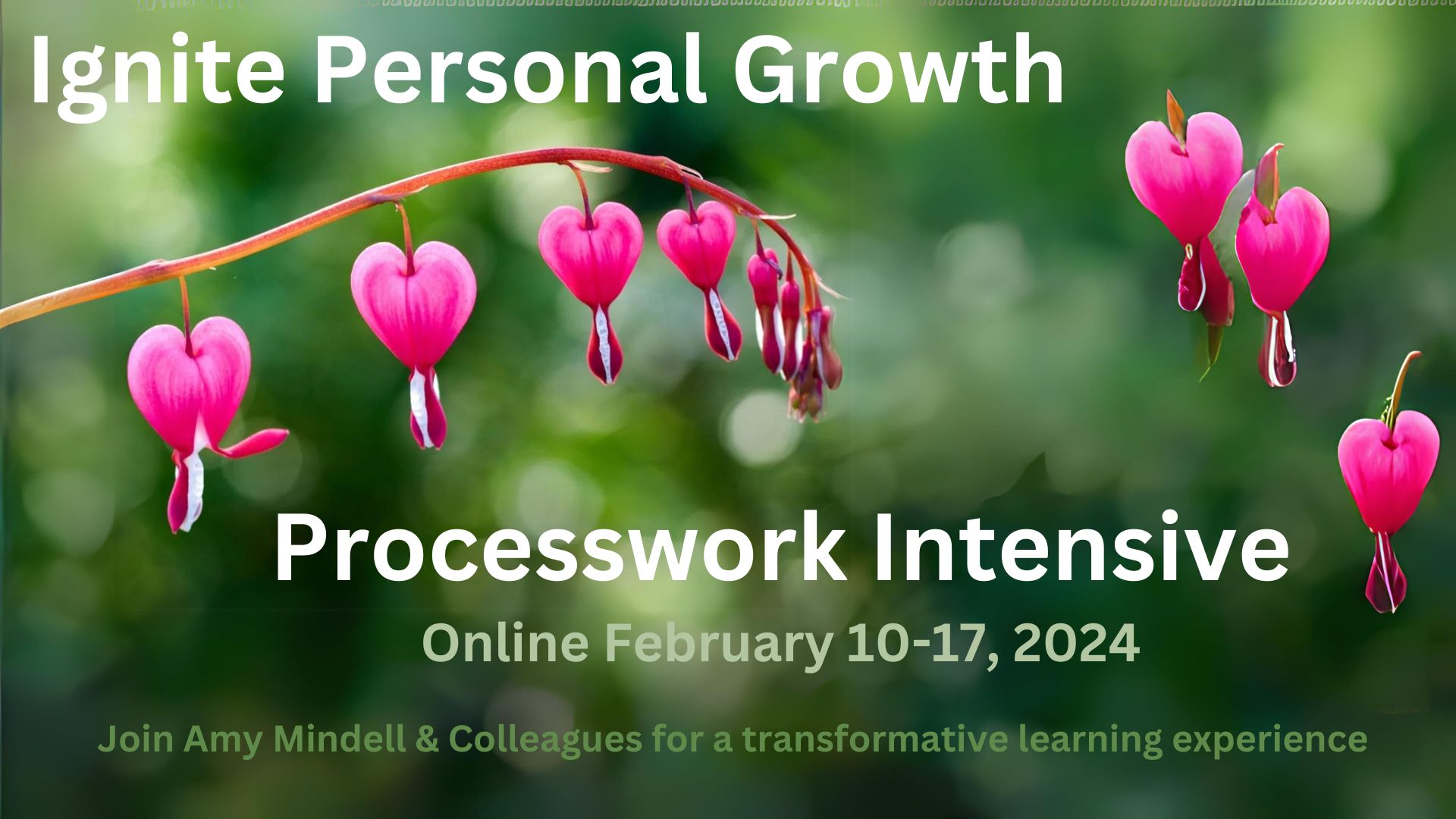 Annual Winter Intensive in Processwork 2024 – register now! - Process ...